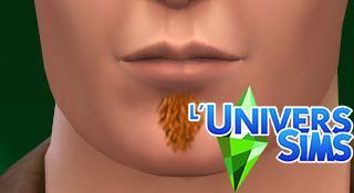 Barbes "Soul Patch" - Sims Homme - LuniverSims