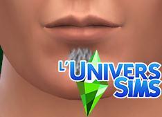 Barbes "Soul Patch" - Sims Homme - LuniverSims